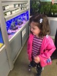 Little Seedlings Softplay at Dobbies Garden Centre, Wallington – Mini ...